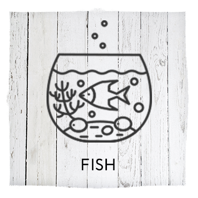 Fish – Ruffin's Pet Centres - Hamilton