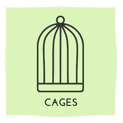 Bird Starter Kits And Bird Cages – Ruffin's Pet Centres - Hamilton